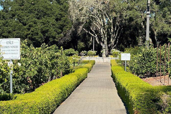 Napa Valley Luxury Wine Tours & Car Services - The Wineries and Experiences: Curated and Intimate