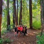 Napa Valley Redwood Hike - Analyzing the Value