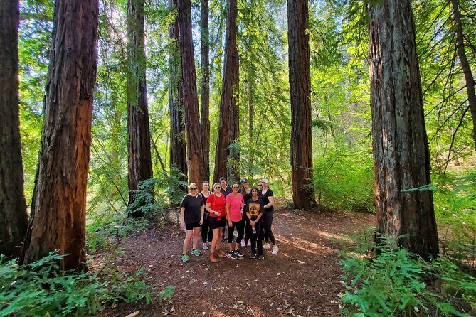 Napa Valley Redwood Hike - Analyzing the Value