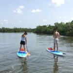 Naples Fl, Paddleboard Mangrove Forest Tour - Value for Money and Practical Tips