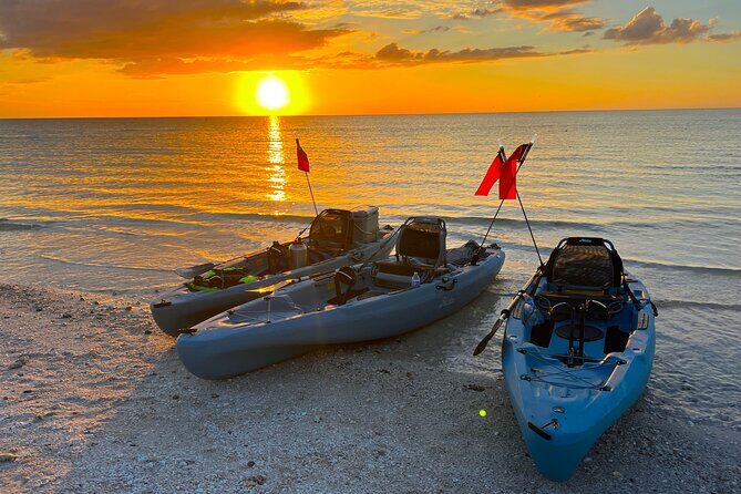 Naples Guided Sunset Kayak Tour Activity - The Sum Up