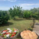 Naraç: authenticity and sharing with an Albanian family - Practical Details and Why They Matter