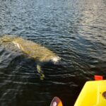 National Park Pedal Kayak Tours in New Smyrna Beach - What the Reviews Say: Authentic Perspectives