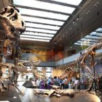 Natural History Museum of Los Angeles County Admission - Who Will Appreciate This Museum?