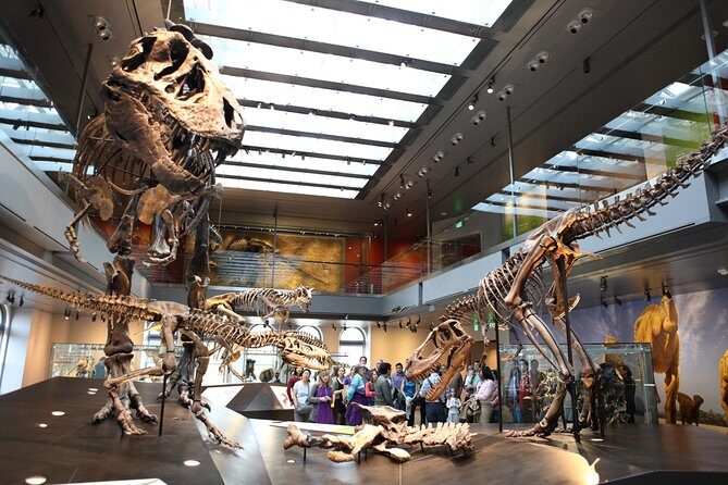 Natural History Museum of Los Angeles County Admission - Who Will Appreciate This Museum?