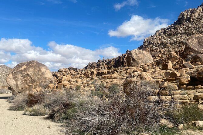 Natural Wonders Walk: Plants, Animals and Rocks of Joshua Tree - What We Think - The Balance of Pros and Cons