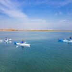 Nature Kayak Tour: Exploring Europes Largest Lagoon - The Cost and Value