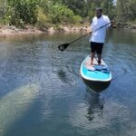Nature Stand Up Paddle Boarding Experience in Miami - The Itinerary: What to Expect