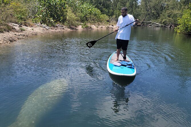 Nature Stand Up Paddle Boarding Experience in Miami - The Itinerary: What to Expect