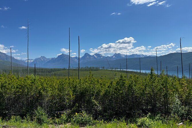 Nature Walk in Glacier National Park - The Second Walk: North Fork of the Flathead River