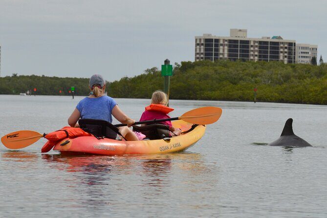 Nauti Exposures - Kayak rental Naples, FL - Price, Value, and Practical Considerations