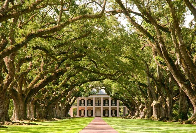 Nawlins Luxury: Double Plantation Laura & Oak Alley with Transportation - Key Points