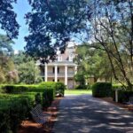 Nawlins Luxury: Laura, Oak Alley or Whitney Plantation Tour w/Transportation - Who Would Love This Tour?