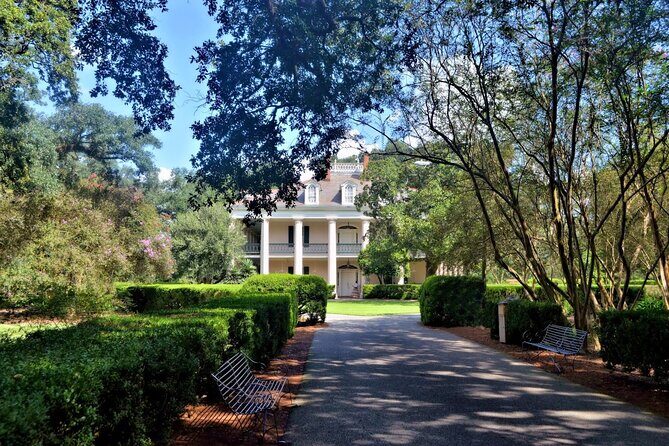 Nawlins Luxury: Laura, Oak Alley or Whitney Plantation Tour w/Transportation - Who Would Love This Tour?