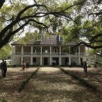 Nawlins Luxury: Whitney Plantation & Pontoon Swamp Tour w/Transportation - Why This Tour Offers Good Value
