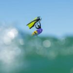 Neusiedler See: 1-Day Wingfoil Course - Exploring the Neusiedler See Wingfoil Experience