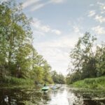 New Orleans Bayou Adventure: Kayak Rental - FAQs