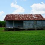 New Orleans: Felicity Plantation Guided Tour - What You Can Expect from the Tour