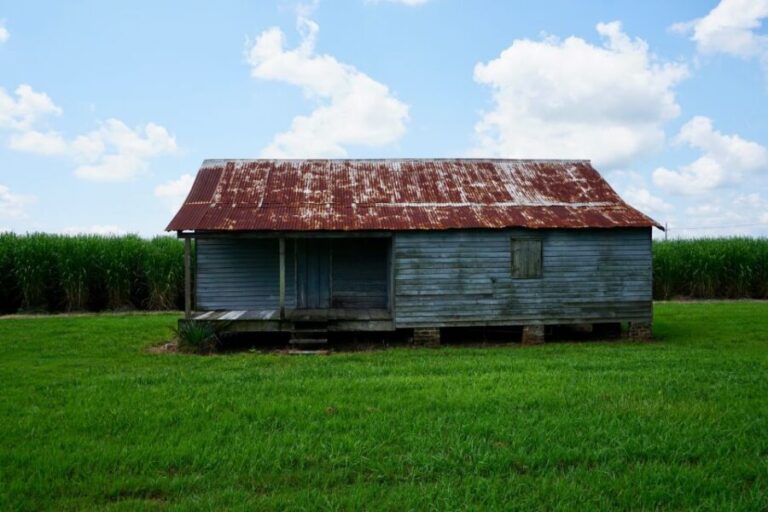 New Orleans: Felicity Plantation Guided Tour - What You Can Expect from the Tour