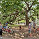 New Orleans Garden District and Cemetery Bike Tour - The Itinerary: What to Expect at Each Stop