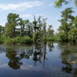 New Orleans: High Speed 16 Passenger Airboat Ride - The Itinerary and Experience Breakdown