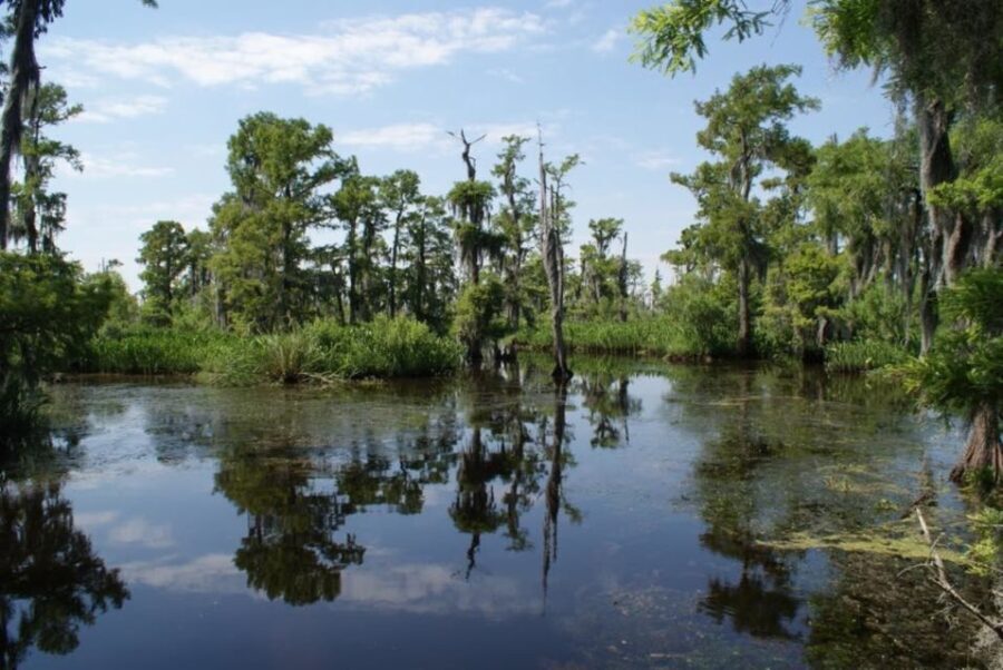 New Orleans: High Speed 16 Passenger Airboat Ride - The Itinerary and Experience Breakdown
