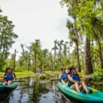 New Orleans: Manchac Magic Kayak Swamp Tour - Who Will Love This Tour?
