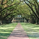 New Orleans: Single Plantation and Pontoon Swamp Day Trip - The Plot of the Day: An In-Depth Look