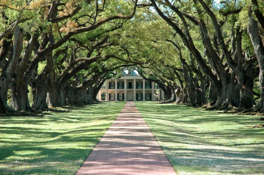 New Orleans: Single Plantation and Pontoon Swamp Day Trip - The Plot of the Day: An In-Depth Look
