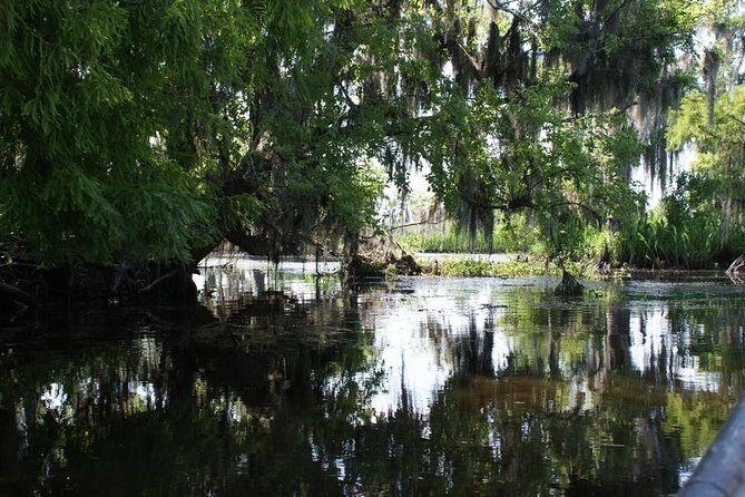 New Orleans Small-Group Airboat Swamp Tour - The Value of This Tour