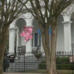 New Orleans Small Group Garden District History and Architecture Tour - Who Should Take This Tour?