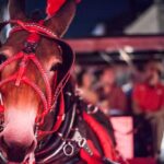 New Orleans Small-Group Haunted History Carriage Tour - The Itinerary in Detail