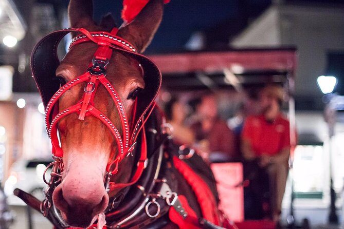 New Orleans Small-Group Haunted History Carriage Tour - The Itinerary in Detail