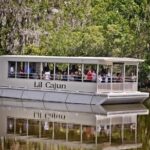 New Orleans Swamp and Bayou Sightseeing Tour with Transportation - The Experience Weet to Know