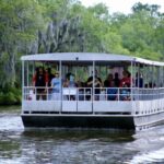 New Orleans: Swamp Tour on Covered Pontoon Boat - The Value of the Tour