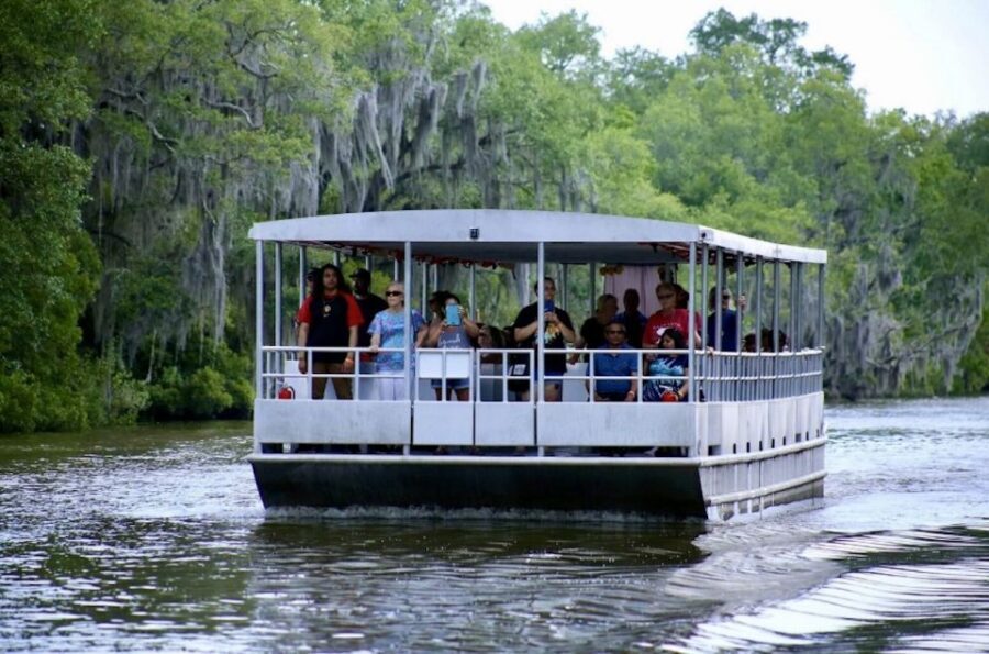 New Orleans: Swamp Tour on Covered Pontoon Boat - The Value of the Tour