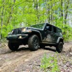 New River Gorge Jeep Tour (Half Day) - The Role of Guides