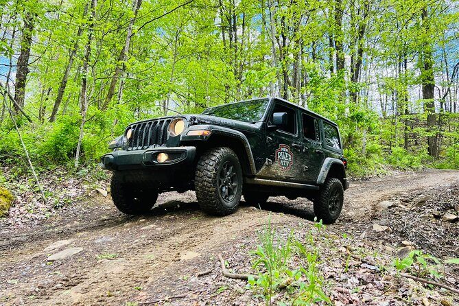 New River Gorge Jeep Tour (Half Day) - The Role of Guides