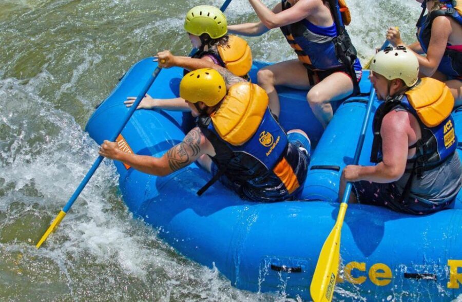 New River Gorge Whitewater Rafting - Lower New Half Day - An In-Depth Look at the Lower New River Gorge Whitewater Rafting Tour