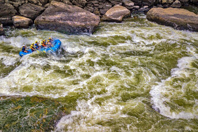 New River Gorge Whitewater Rafting, WV - Lower New Full Day - What We Love and What to Consider