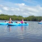 New Smyrna: Half-Day Guided SUP or Kayak Waterways Tour - Why This Tour Works Well