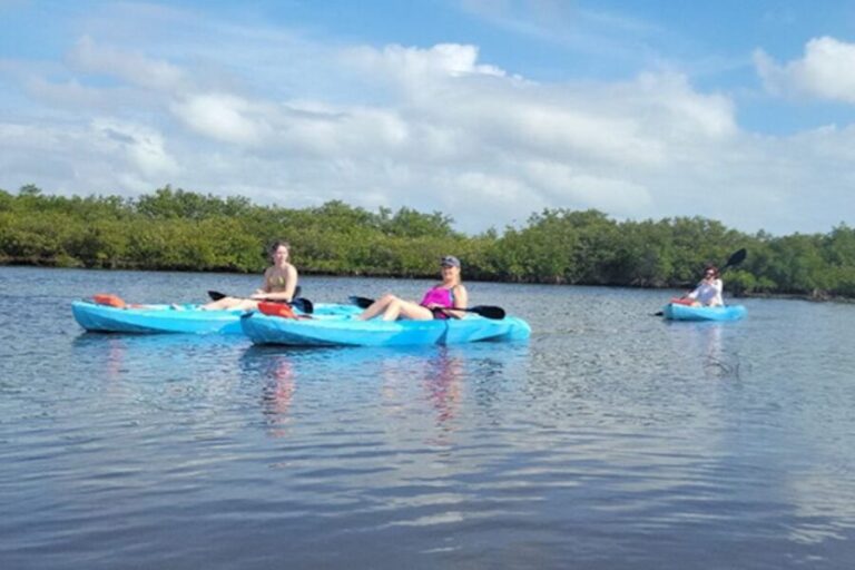 New Smyrna: Half-Day Guided SUP or Kayak Waterways Tour - Why This Tour Works Well