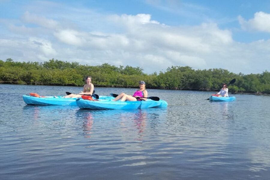 New Smyrna: Half-Day Guided SUP or Kayak Waterways Tour - Why This Tour Works Well