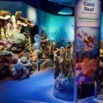 New York Aquarium Admission - The Pros & Cons: What Are Travelers Saying?