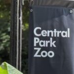 New York Central Park Zoo Ticket - Analyzing the Value