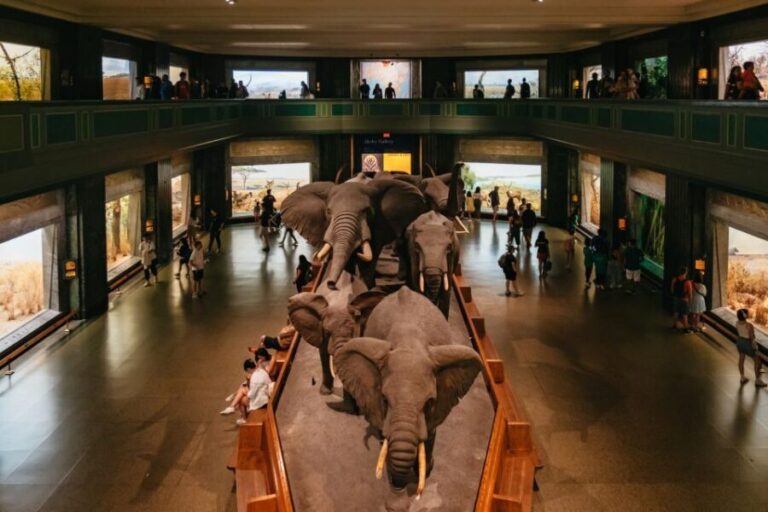 New York City: American Museum of Natural History Ticket - Who Will Benefit Most From This Experience?