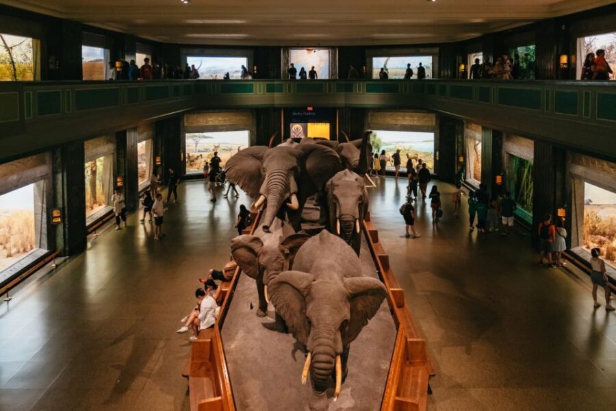 New York City: American Museum of Natural History Ticket - Who Will Benefit Most From This Experience?