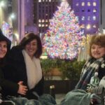 New York City Christmas Lights Private Horse Carriage Ride - Value and Booking