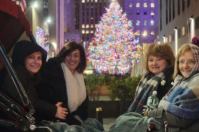 New York City Christmas Lights Private Horse Carriage Ride - Value and Booking