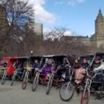 New York City: Classic Central Park Guided Pedicab Tour - Authentic Insights from Real Travelers